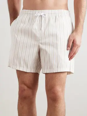 Loro Piana Daneu Striped Swim Shorts - Neutrals