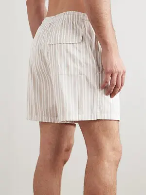 Loro Piana Daneu Striped Swim Shorts - Neutrals