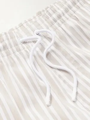 Loro Piana Daneu Striped Swim Shorts - Neutrals