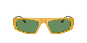 Emporio Armani Ea4168 Sunglasses