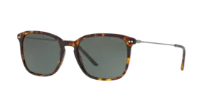 Giorgio Armani Ar8111 Sunglasses