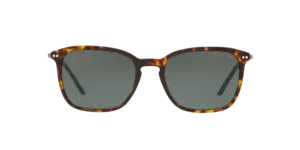 Giorgio Armani Ar8111 Sunglasses