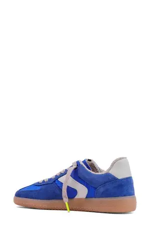 SHU SHOP Sylvia Lace-up Sneakers - Blue Suede