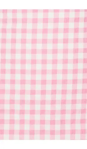 LOVERS AND FRIENDS Alice Mini Dress - Pink Gingham