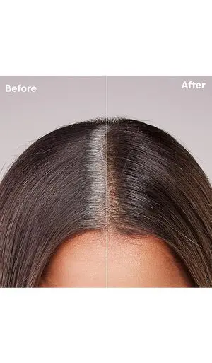 DPHUE Root Touch-up Kit For Resistant Grays