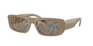 Emporio Armani Sunglasses