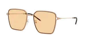 Emporio Armani Ea2159d Sunglasses