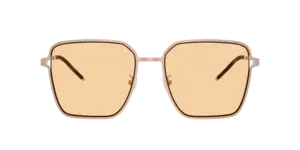 Emporio Armani Ea2159d Sunglasses