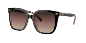 COACH Full Rim Sunglasses - Violet