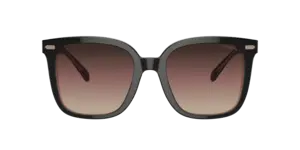 COACH Full Rim Sunglasses