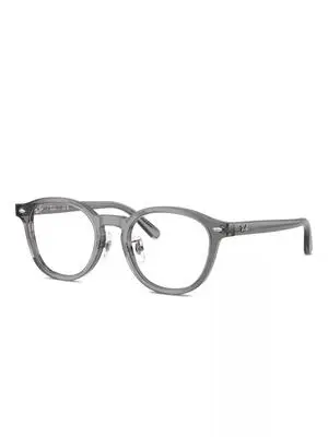 Ray-ban Round-frame Glasses