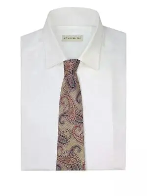Etro Paisley Pattern Neck Tie - Neutrals