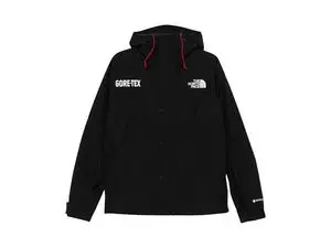 The North Face Gtxountain Jacket