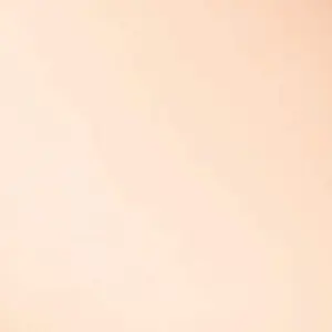 Dior Le Cushion Teint De Rose
