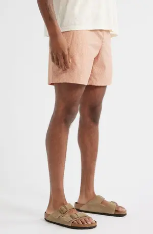Rvca Exotica Stripe Seersucker Drawstring Shorts