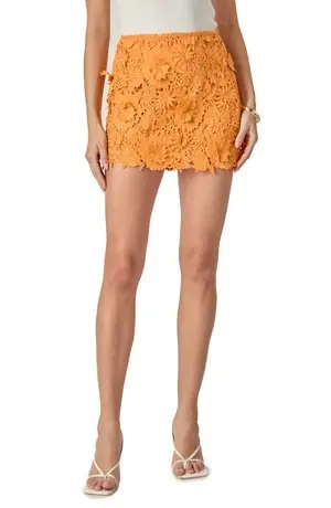 Endless Rose Floral Lace Miniskirt