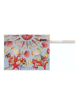 Dolce & Gabbana Shell-print Swim Shorts - Blue