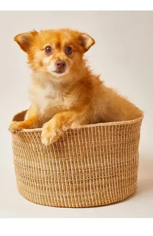 INDEGO AFRICA Banana Leaf Floor Basket