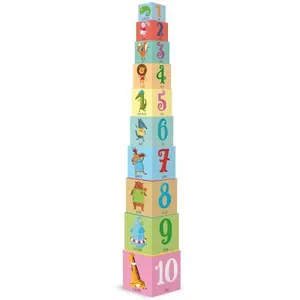 SASSI Edublocks Animals 10 Stacking Cubes & Booklet