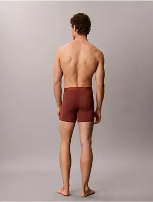 Calvin Klein Ultra Soft Modal Boxer Brief - Spiced Apple