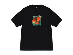 StÜssy Berries Tee Shirt