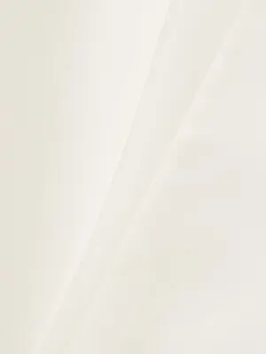 Khaite Lalisa Silk-organza Maxi Skirt - Neutrals