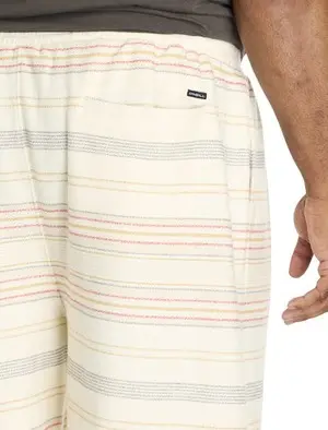 O'Neill Big & Tall Bavaro Striped Shorts