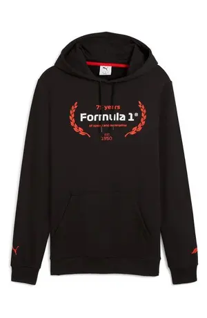 PUMA Formula 1® Essential Logo Graphic Hoodie - Puma Black