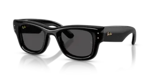 Ray-ban Sunglasses Noir