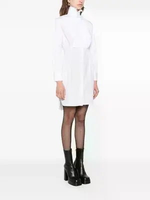 Alexander McQueen Pleated Panel Shirt Dress
