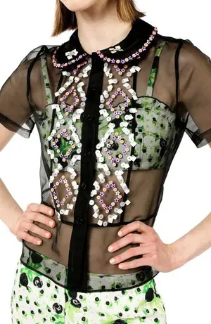 Anna Sui Twinkle Beaded Organza Blouse