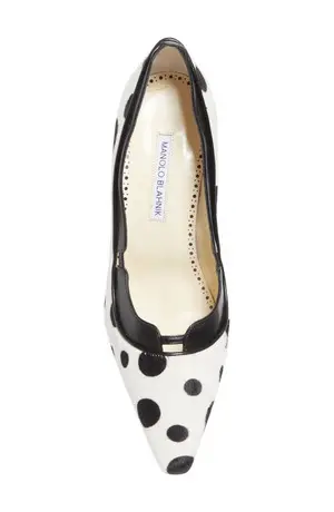 Manolo Blahnik Xerxa Pointed Toe Pump