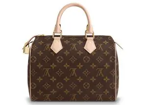 LOUIS VUITTON Speedy 25