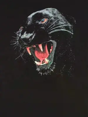 DENIM TEARS Panther T-shirt