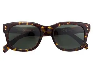 Supreme Avon Sunglasses - Tortoise