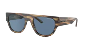 ARNETTE Sunglasses - Dark Blue