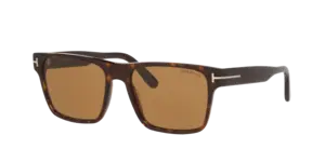 TOM FORD Calder Sunglasses Brown