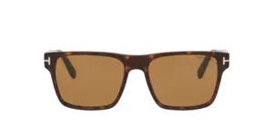 TOM FORD Calder Sunglasses - Brown