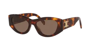Celine Sunglasses Brown Gradient