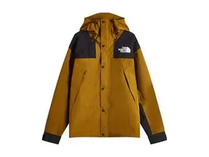 The North Face Gore-tex Mountain Jacket