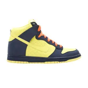 Nike Dunk Hi Sneakers