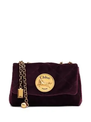 Chloe Patterned Shoulder Bags