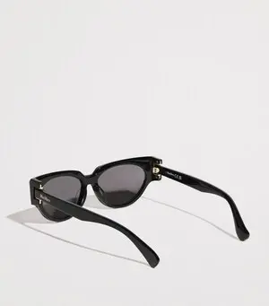 Max Mara Acetate Oval Clip1 Sunglasses