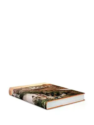 TASCHEN Rome: Portrait Of A City Book - Brown