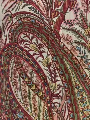 Etro Paisley-print Shirt