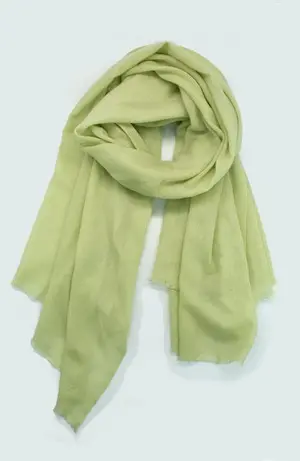 Portolano Cashmere Pashmina Wrap With Fringes - Shadow Lime
