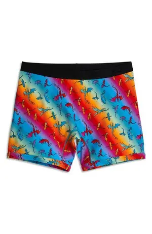 TOMBOYX 6-inch No Fly Boxer Briefs Pride Rainbow Dragon