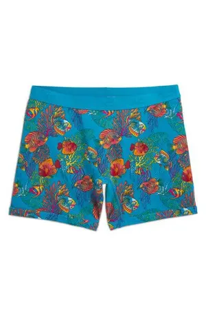 TOMBOYX 6-inch No Fly Boxer Briefs Rainbow Fish