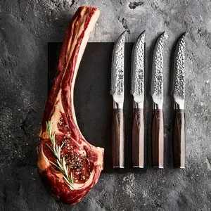 CUISINE::PRO Damashiro Emperor® 4-piece Steak Knife