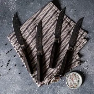 CUISINE::PRO Damashiro Emperor® 4-piece Steak Knife